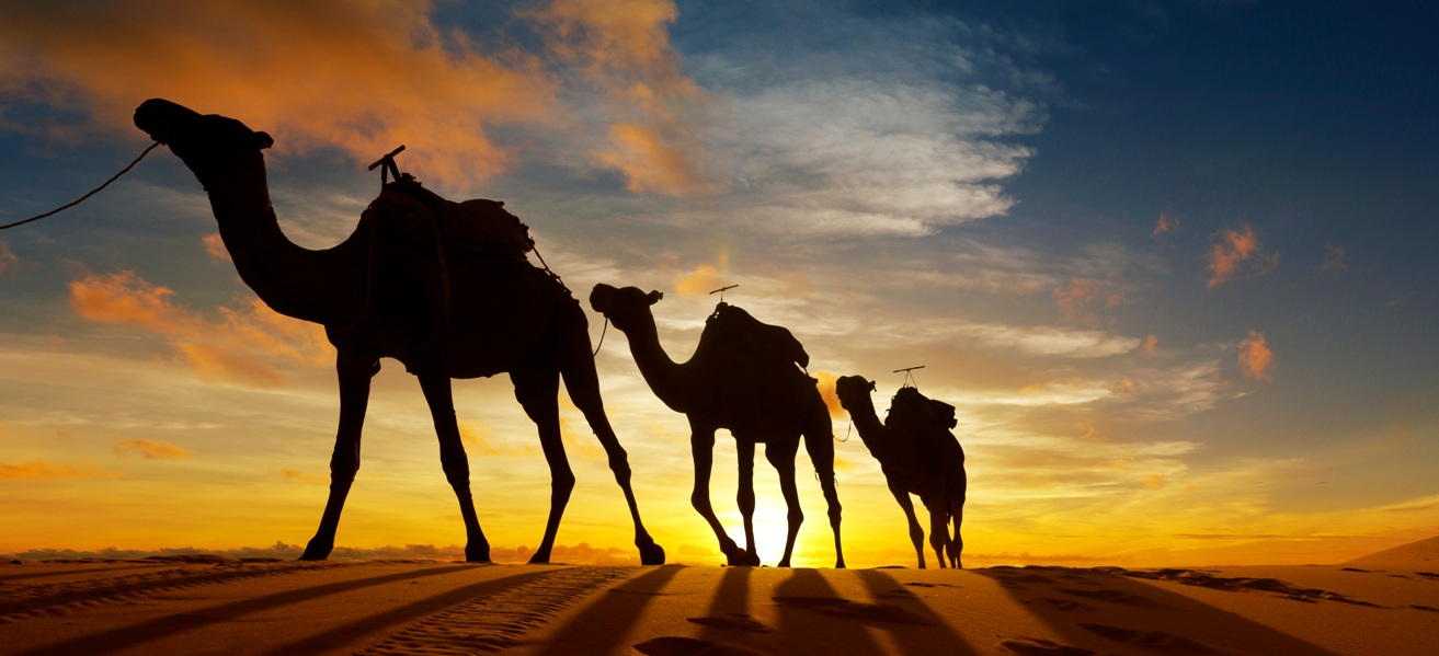 Tour 123 - Karawane zwischen Dünen und Felsen - OASE Reisen - Afrika Reisen